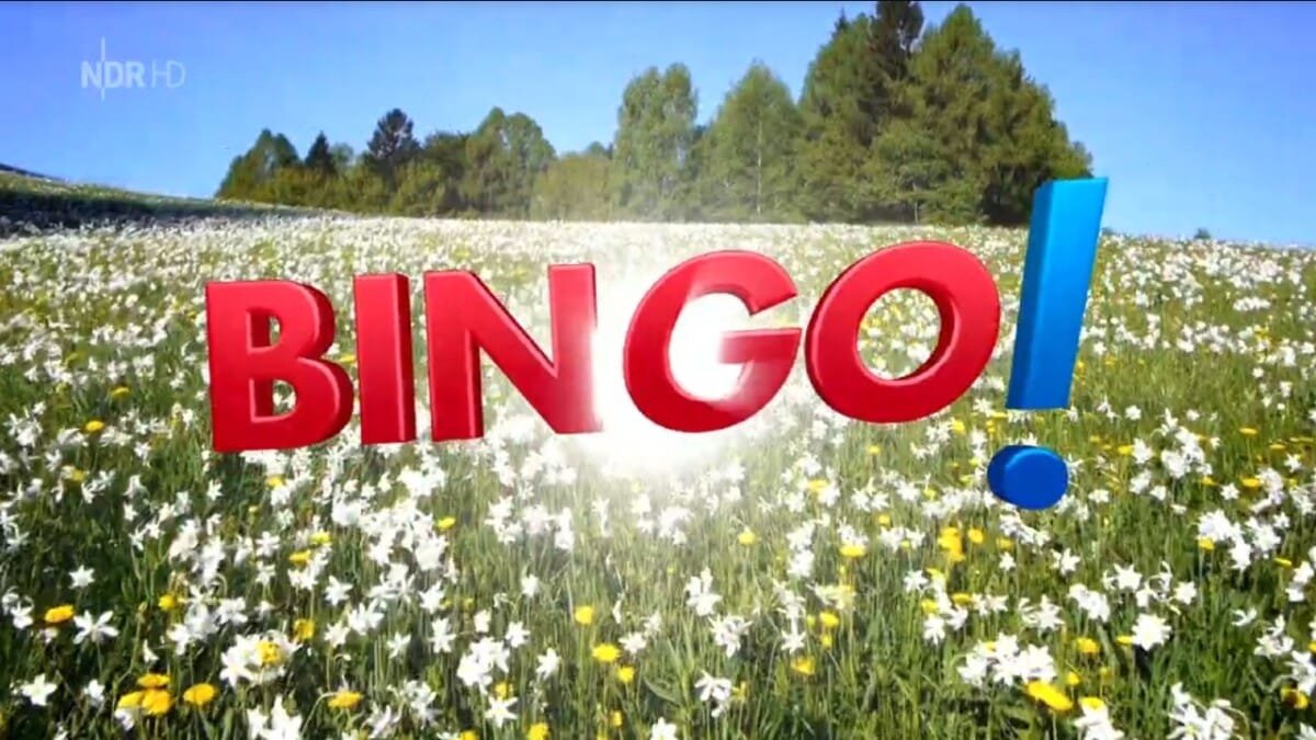 Bingo Regeln einfach erklärt - Gewinnzahlen-Guru